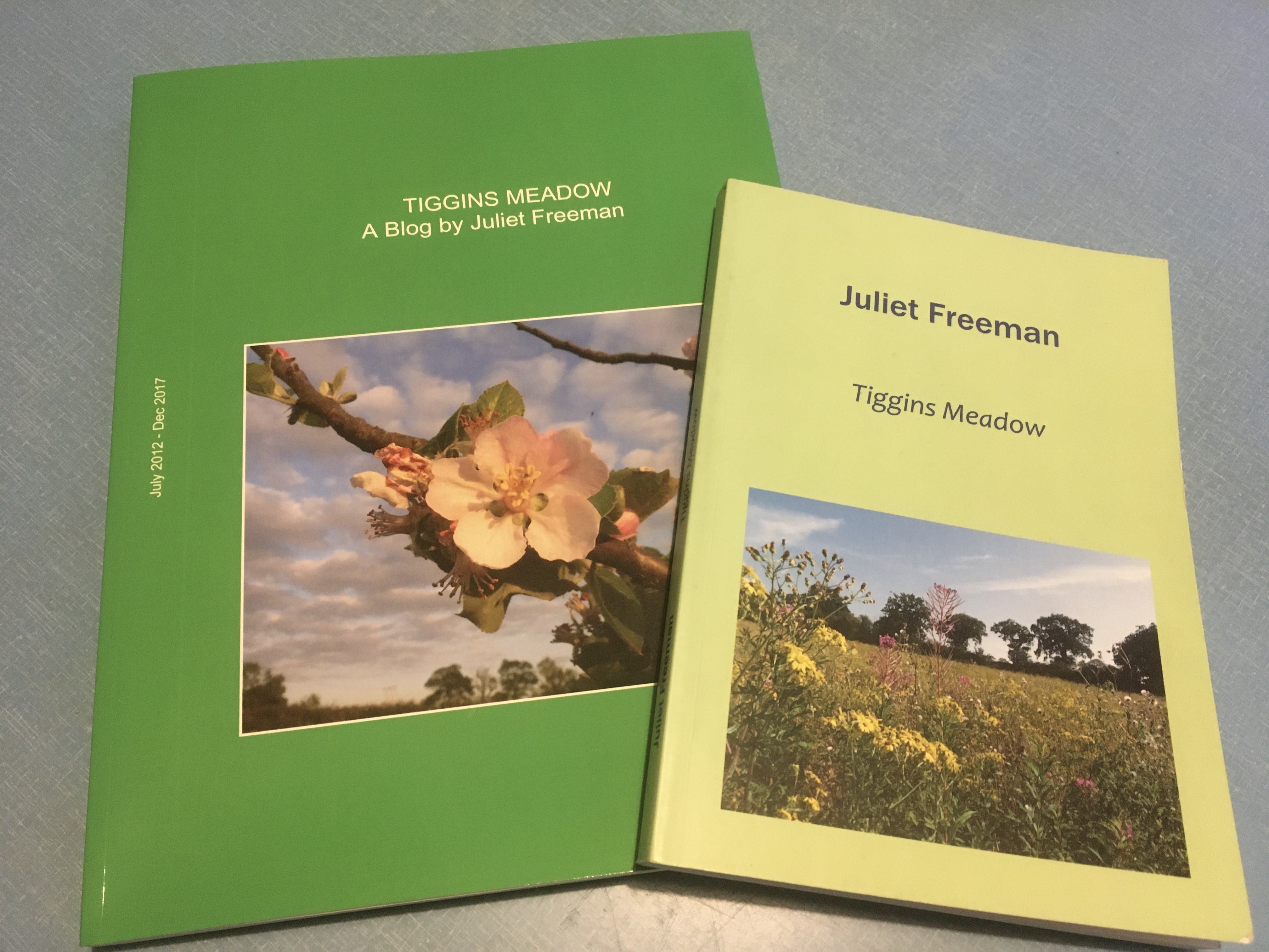 Creative media – WILD ABOUT TIGGINS