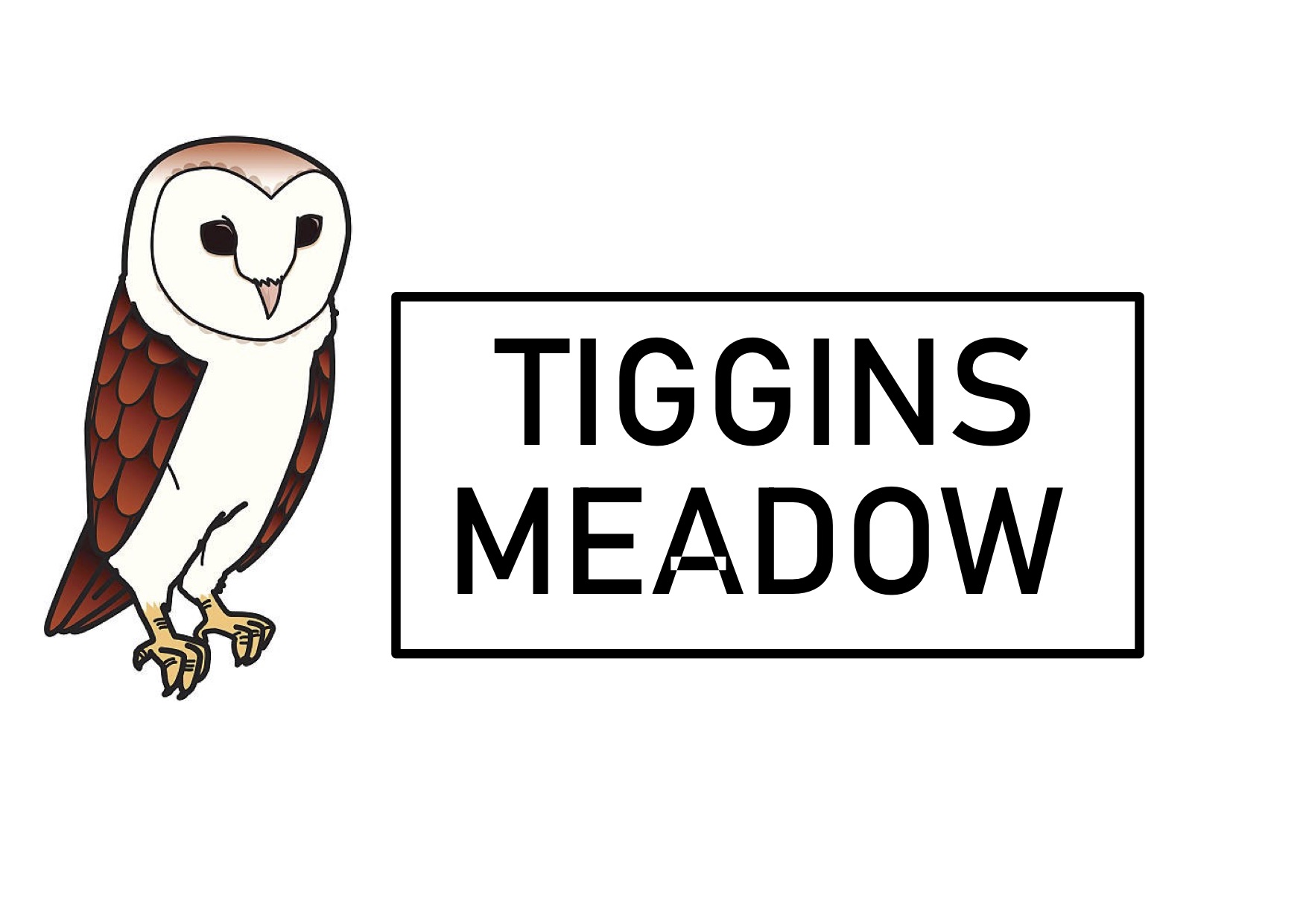 Creative media – WILD ABOUT TIGGINS