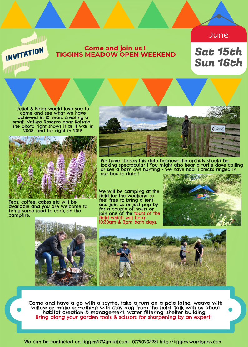 Creative media – WILD ABOUT TIGGINS