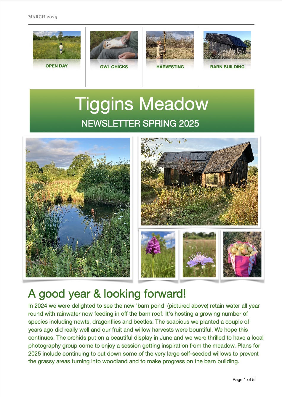 Newsletters – WILD ABOUT TIGGINS
